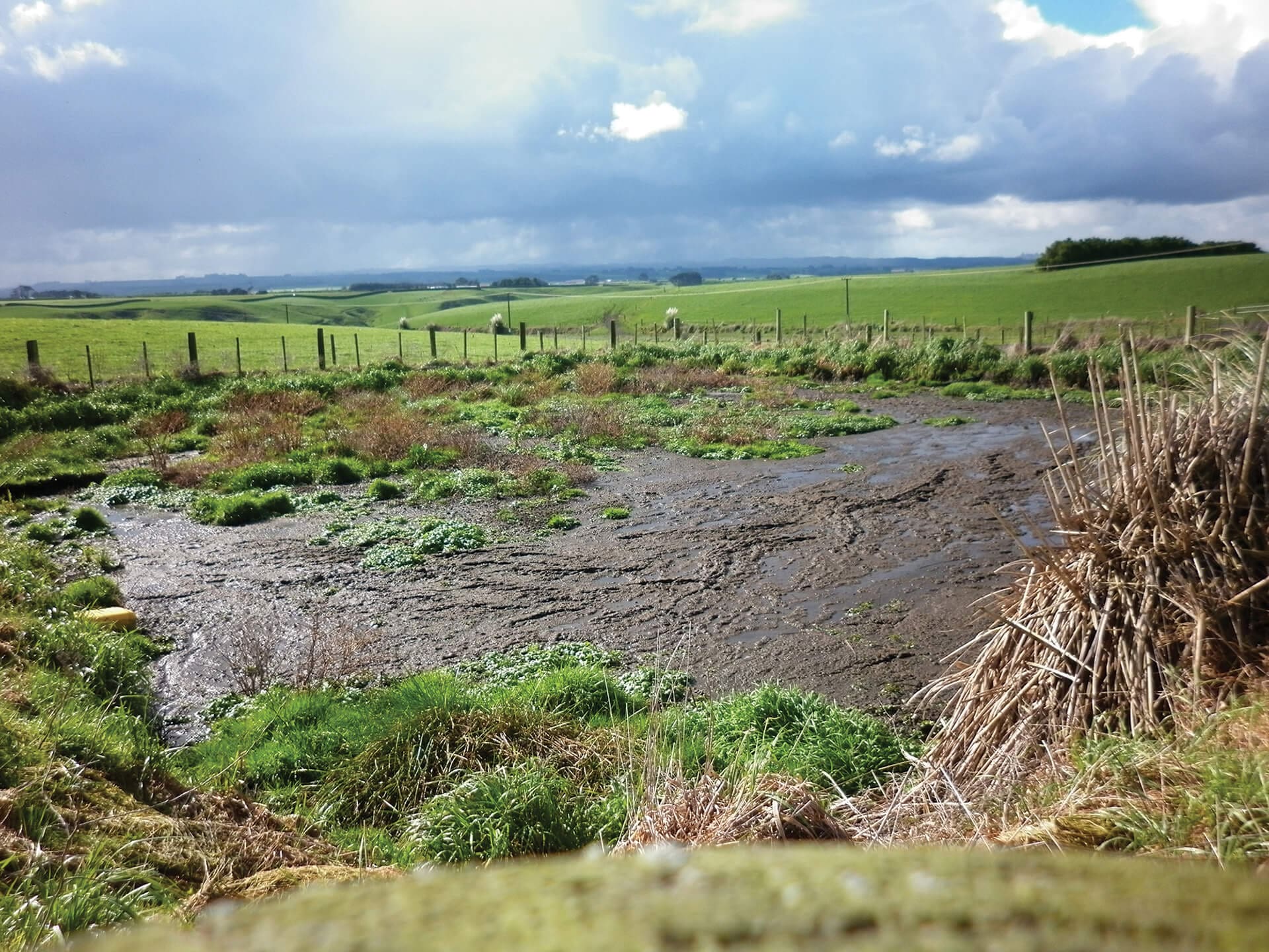 Why Do Effluent Ponds Get Crusty? | Nevada AU