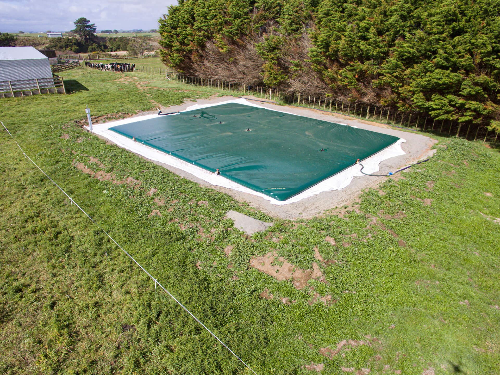 Effluent Bladder Tanks | 10 Year Warranty | Nevada NZ