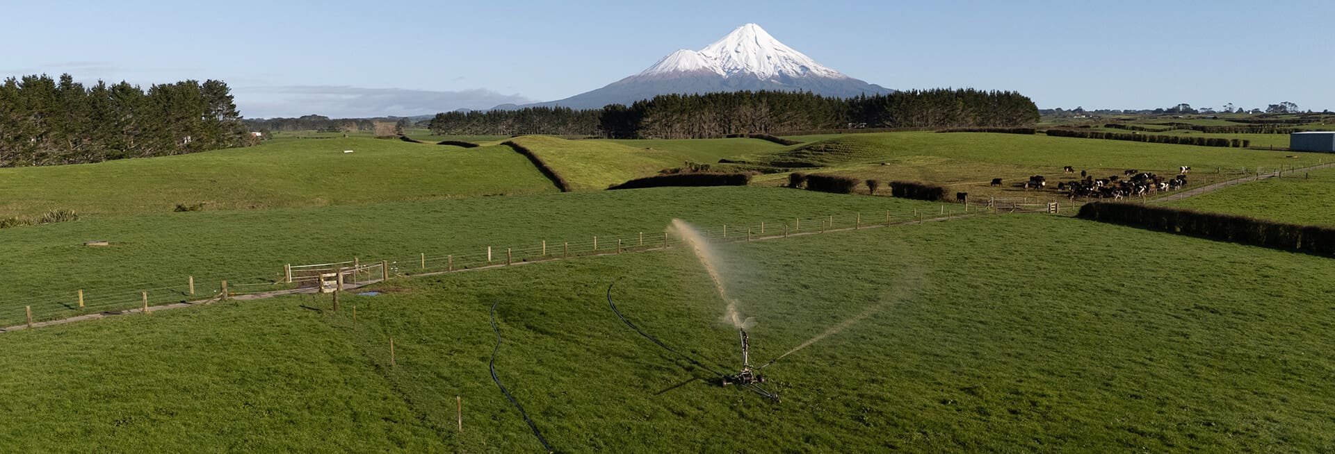 Remote Valve Switch | Eliminate Debris | Nevada