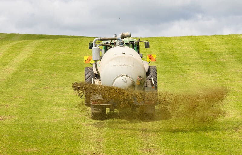 Nevada Product Catalogue