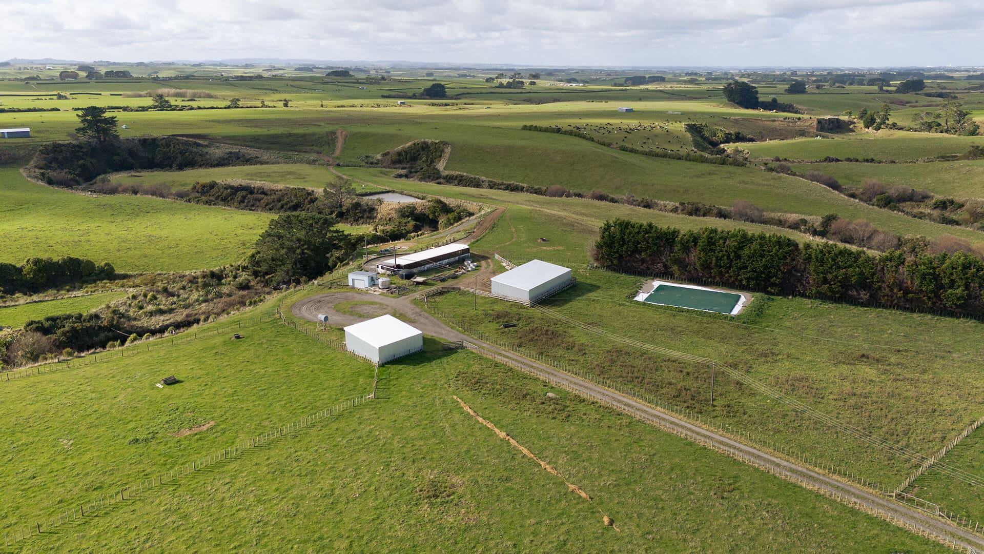 Effluent Bladder Tanks | 10 Year Warranty | Nevada NZ